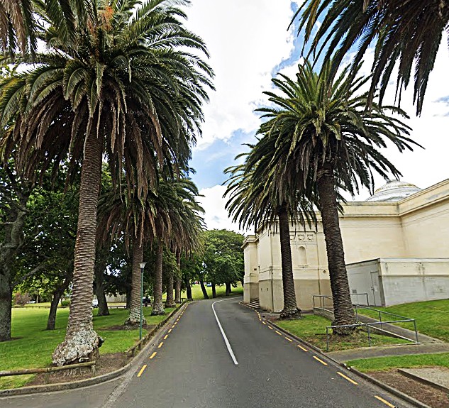 The Colonnade Effect: Rows and Double Avenues of Phoenix Palms – The ...