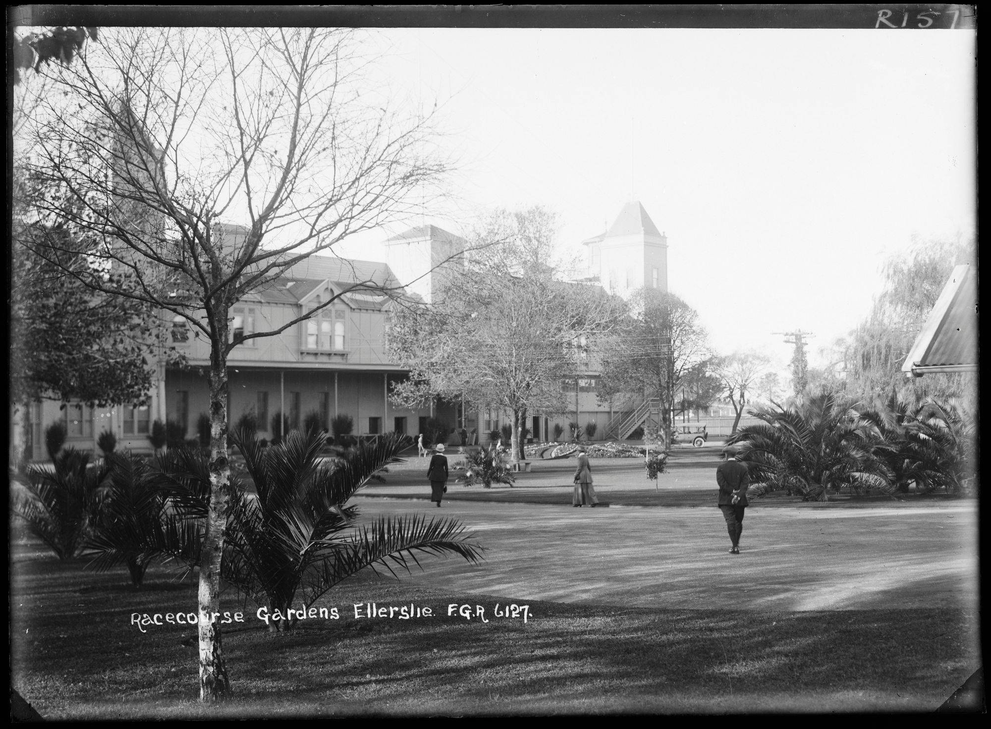 The Colonnade Effect: Rows and Double Avenues of Phoenix Palms – The ...